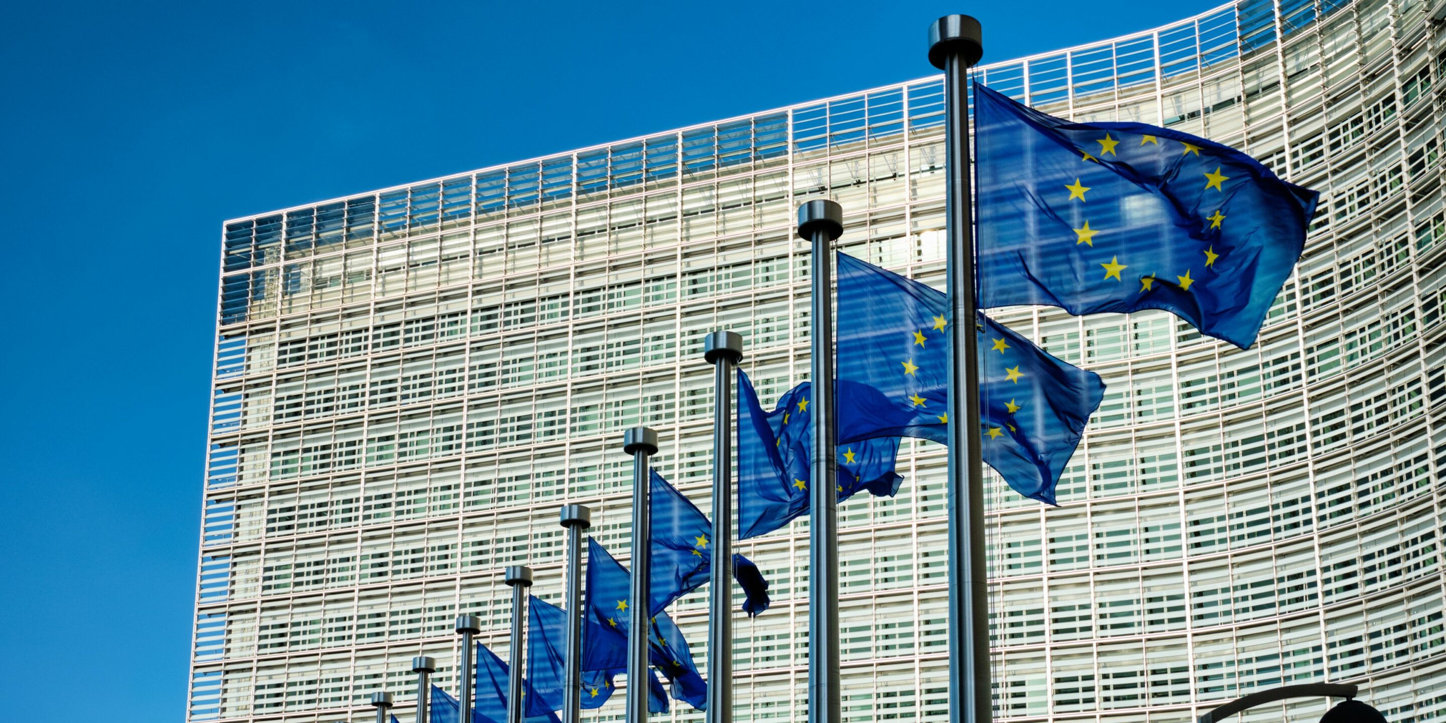 Linstitut Des Droits Fondamentaux Du Numérique Idfrights Se Félicite